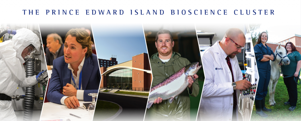 Business Environment – PEI BioAlliance