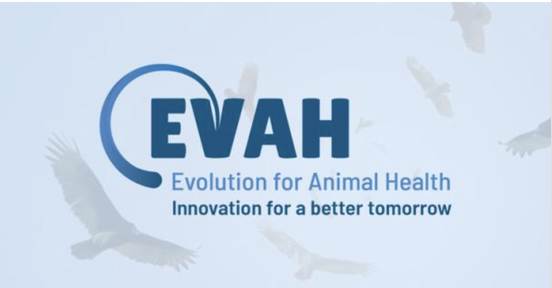 EVAH Announces Acquisition and Development Agreements for Four ...
