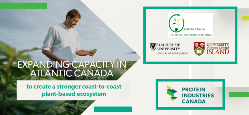 Strengthening Atlantic Canada’s plant-based food and ingredient ...